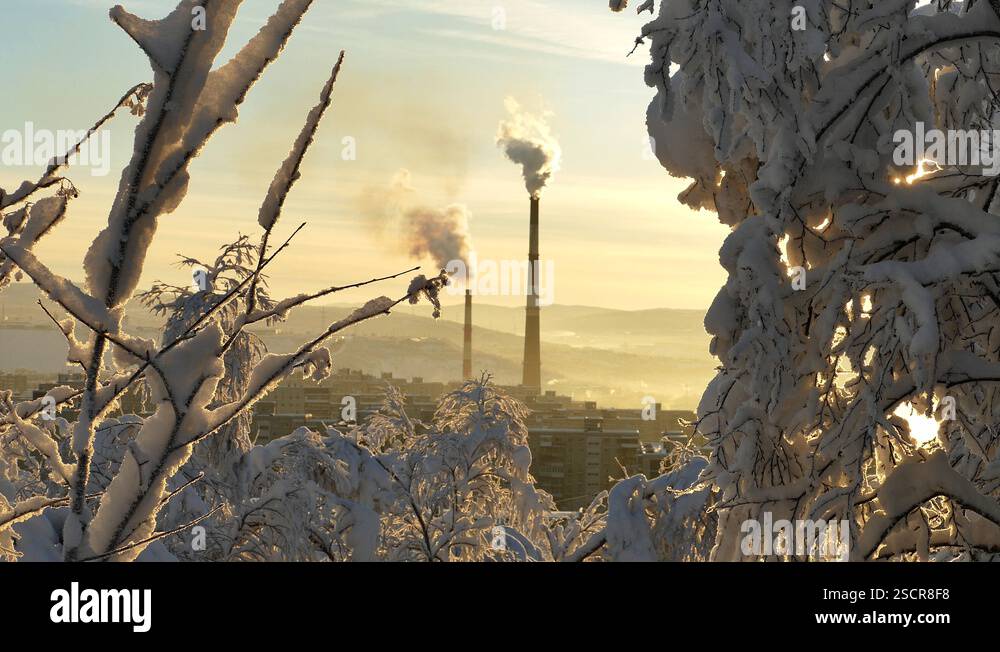Snow-covered trees sway against the backdrop of buildings and a smoking ...