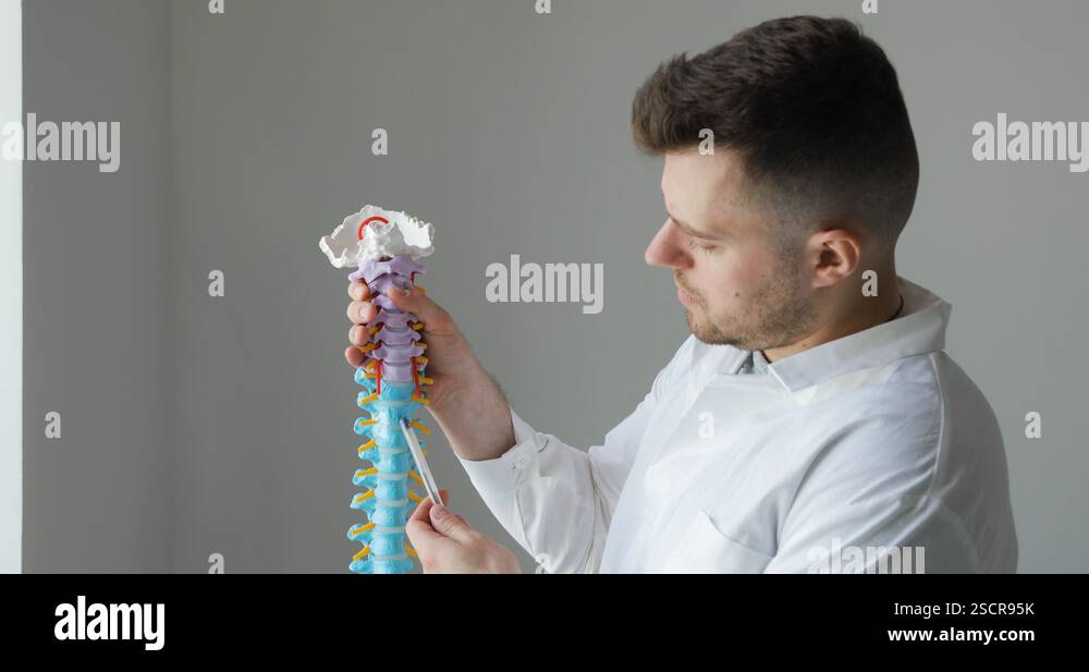 Man doctor is explaining disease using spine model Stock Video Footage ...