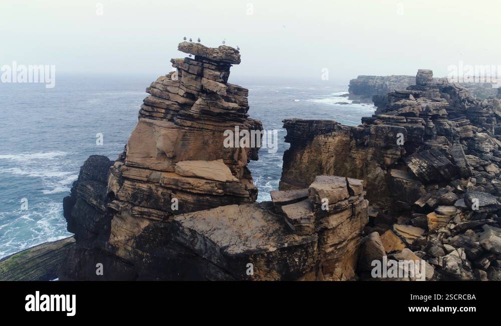 Aerial view cliff with birds on coast of Atlantic ocean Stock Video ...