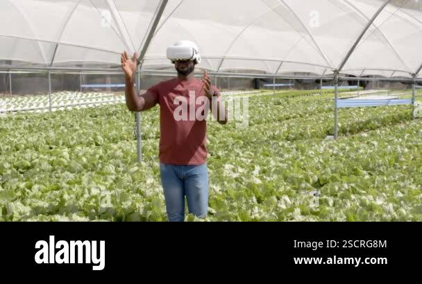 Using VR headset, african american man exploring hydroponic farm with ...