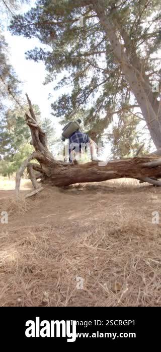 Vertical video: Hiking in forest, woman climbing over fallen tree with ...