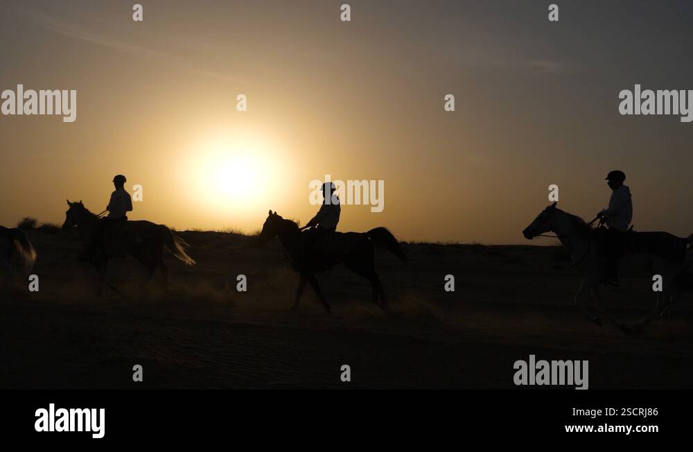 HD slow motion, arabian horse galloping on a endurance through a desert ...