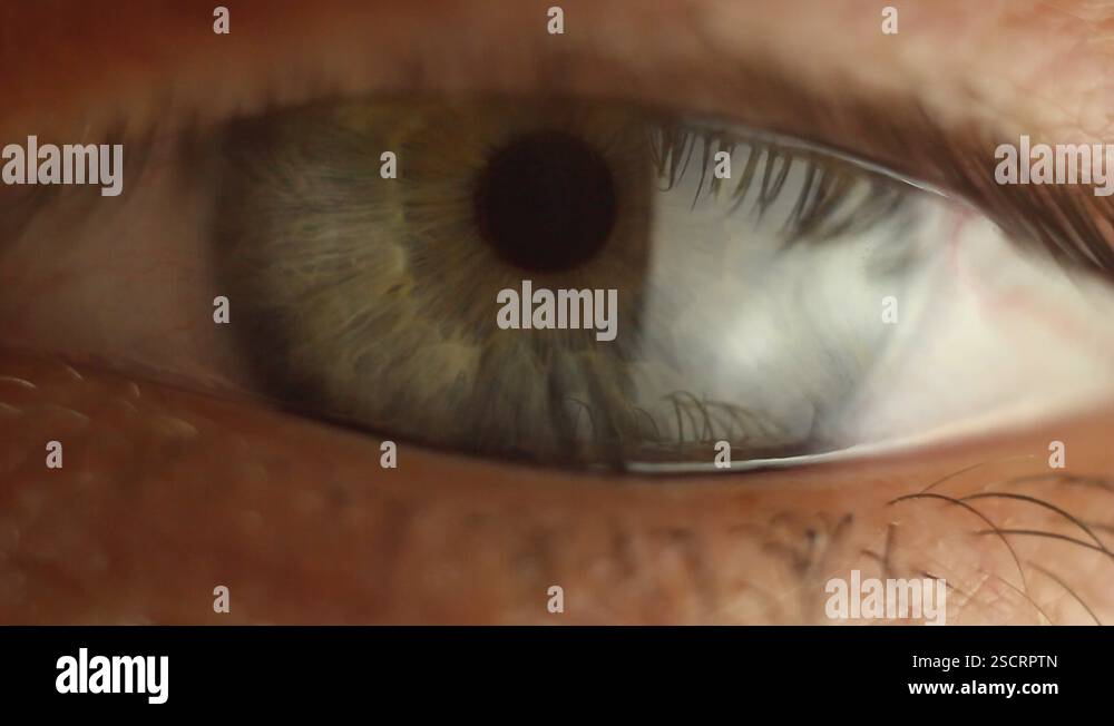 blinking male eye close-up looking around. red artery on the eyeball ...