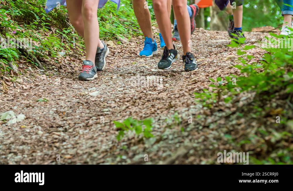 Scouts are wearing sneakers and are walking in a forest path Stock ...