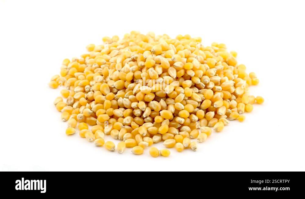 Heap of organic, raw, dried corn or maize kernels rotating over white ...