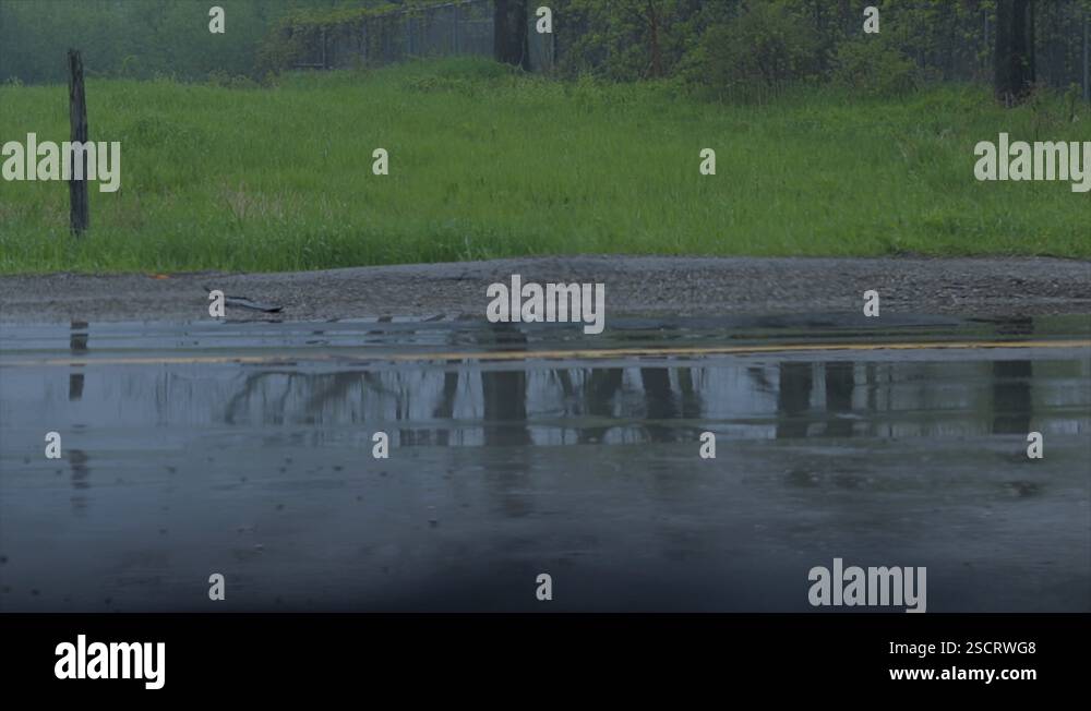 Cars driving through puddles during a rainy spring day. Automobile ...