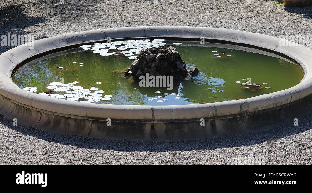 Old Round Pond With Goldfish And Water Lilies Stock Video Footage - Alamy
