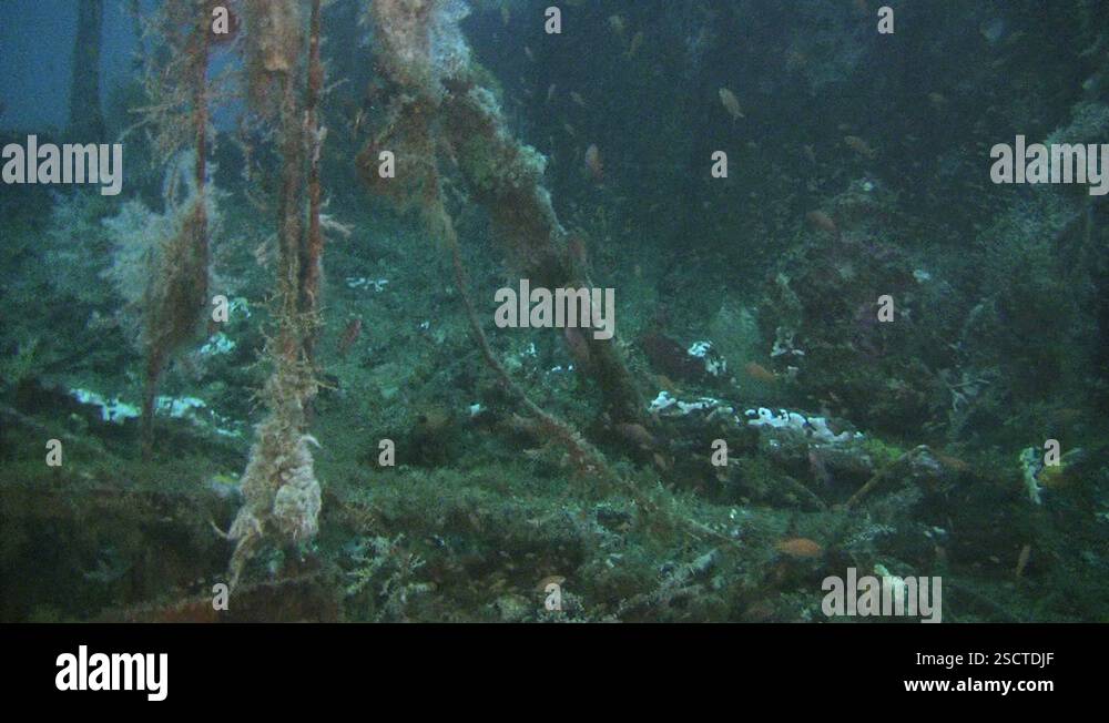Artificial reef a metal boat wreck in the Philippines Stock Video ...