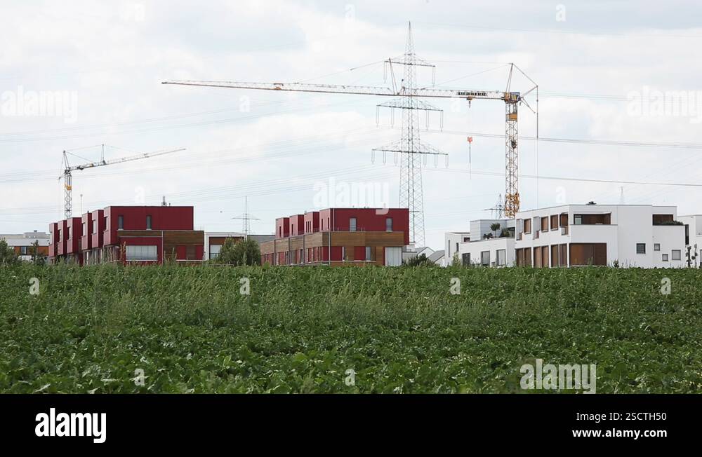 Green Field Swaying in Breeze and Residential Low-Rise Buildings Stock ...