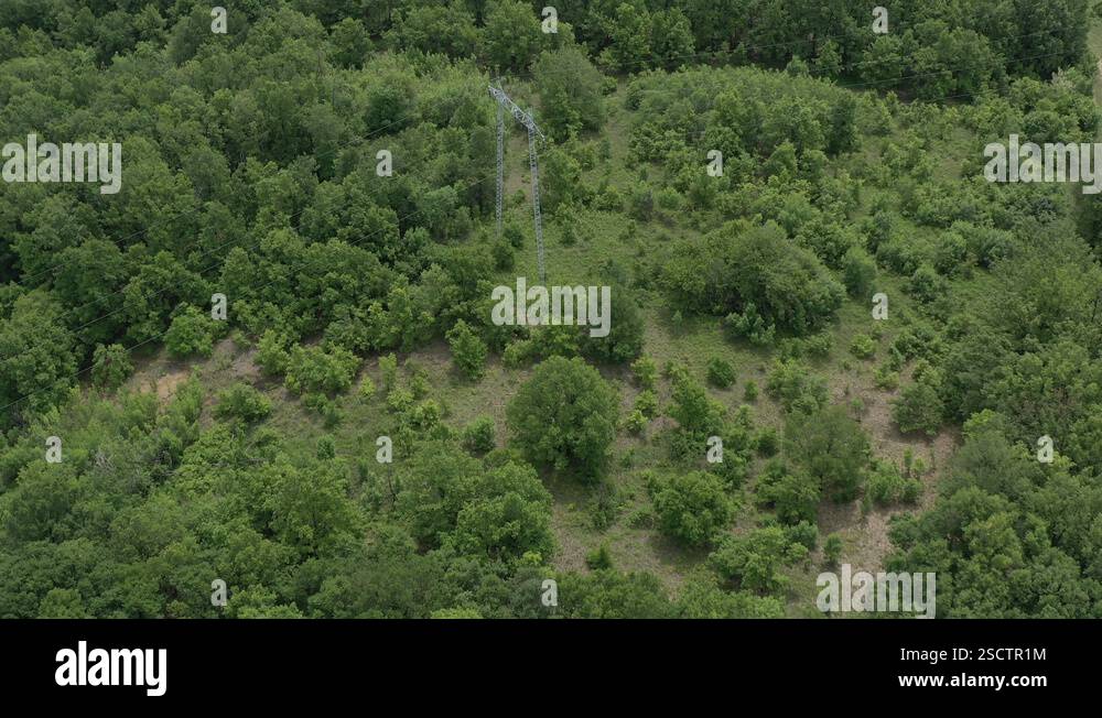 Single-circuit three-phase electricity transmission line in the nature ...