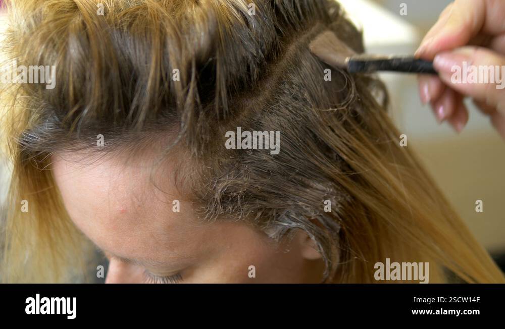 The concept of professional hair coloring. a woman at the hairdresser ...