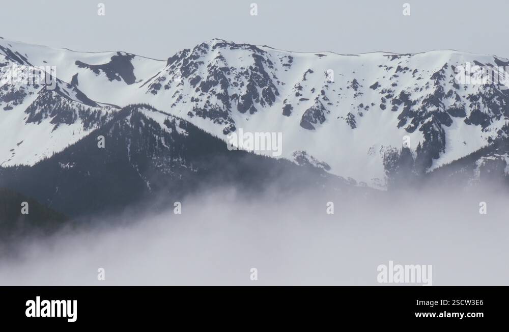 4K of Mist in Front of Snow-Capped Mountain Through Trees (4x speed ...