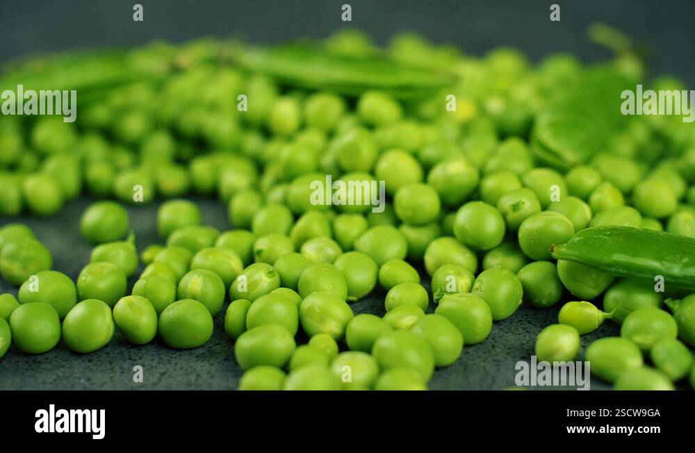 Green fresh pea and shell falling in slow motion. Close up food ...