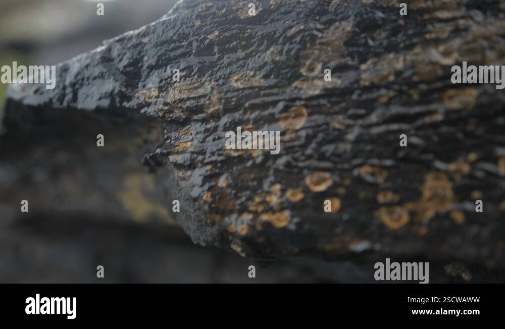 Cliff face panning to the sea in the rain Stock Video Footage - Alamy