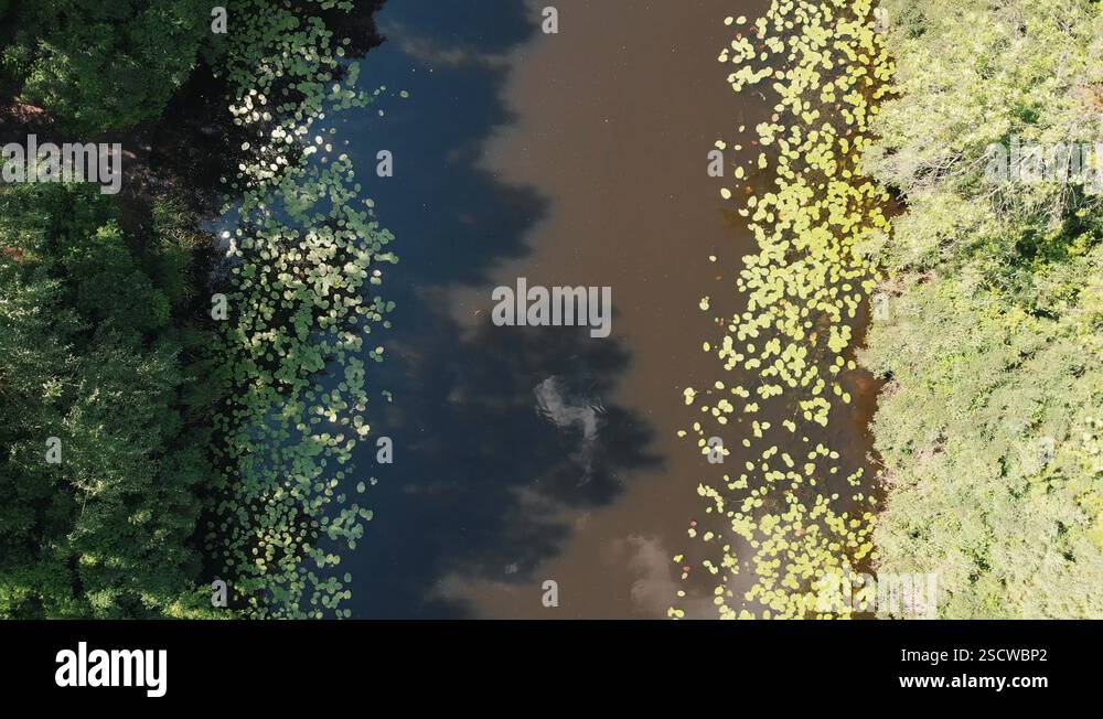 Drone spinning around river. Drone top view of green river. Beautiful ...