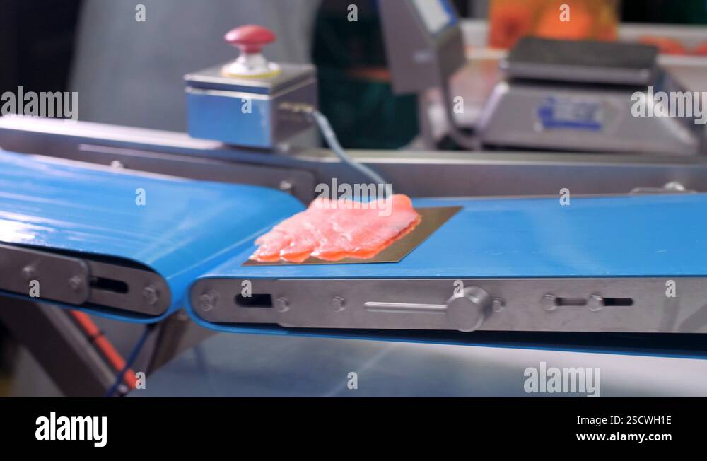 Premium Sliced Smoked Salmon Moving on an Assembly Line. Slow motion ...