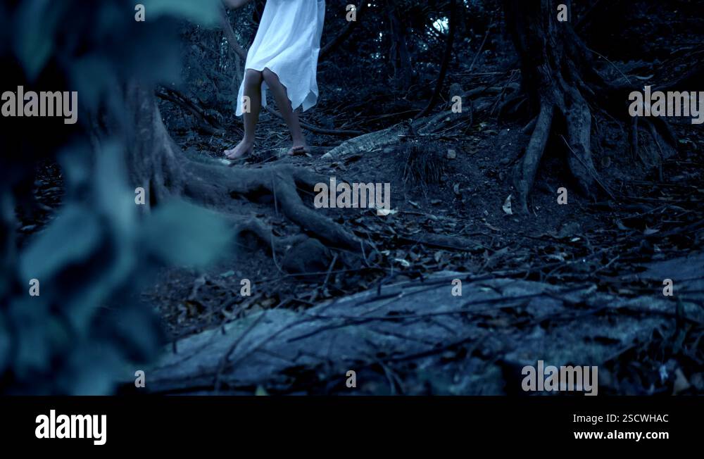 the ghost of a little girl, a fairy with long brunette hair in a dense ...