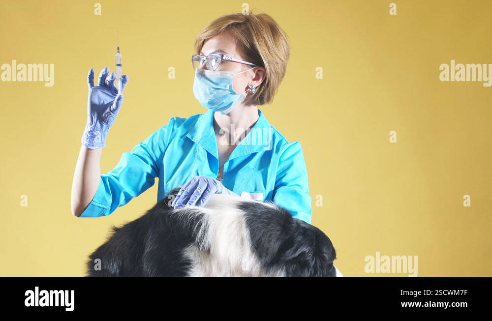 Rabies vaccine. woman is going to vacccine in the medical center Stock ...