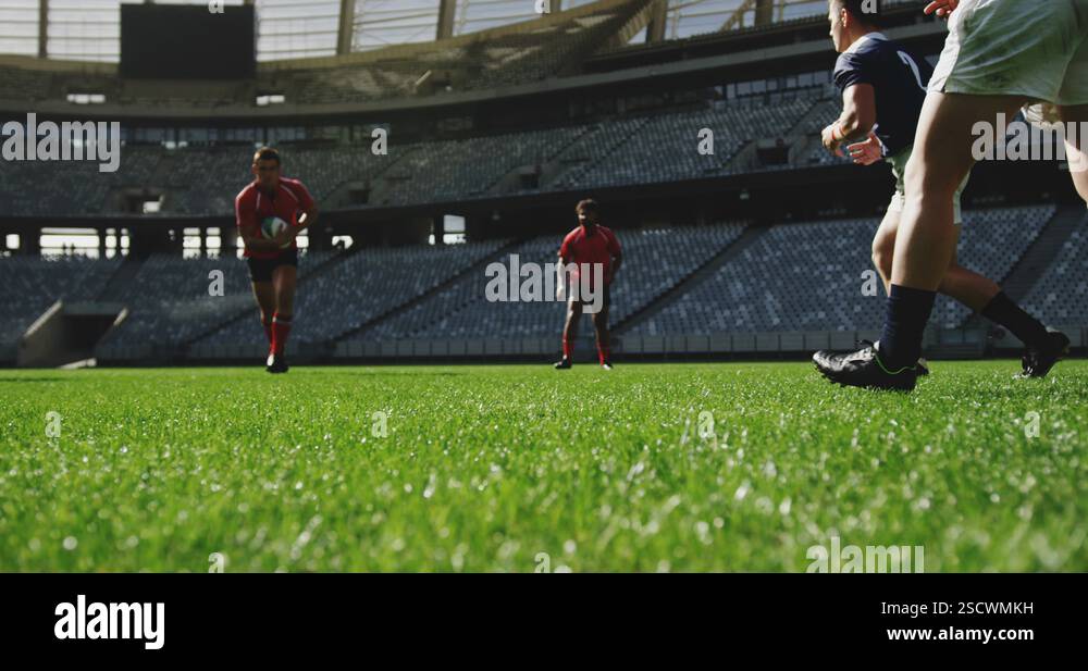 Rugby players playing rugby match in stadium 4k Stock Video Footage - Alamy