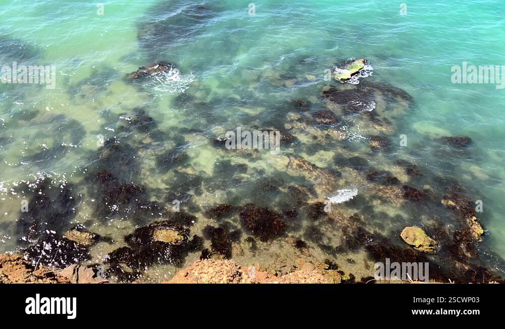 Beautiful natural view Andreevka Stock Video Footage - Alamy