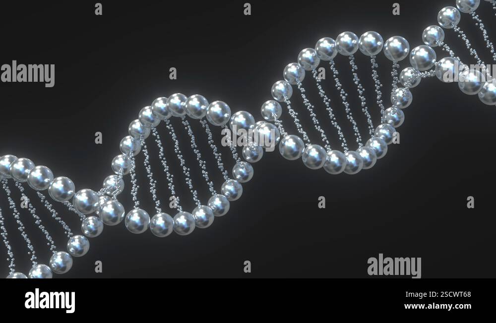 Conceptual DNA molecule model made of metal balls. Loopable motion ...
