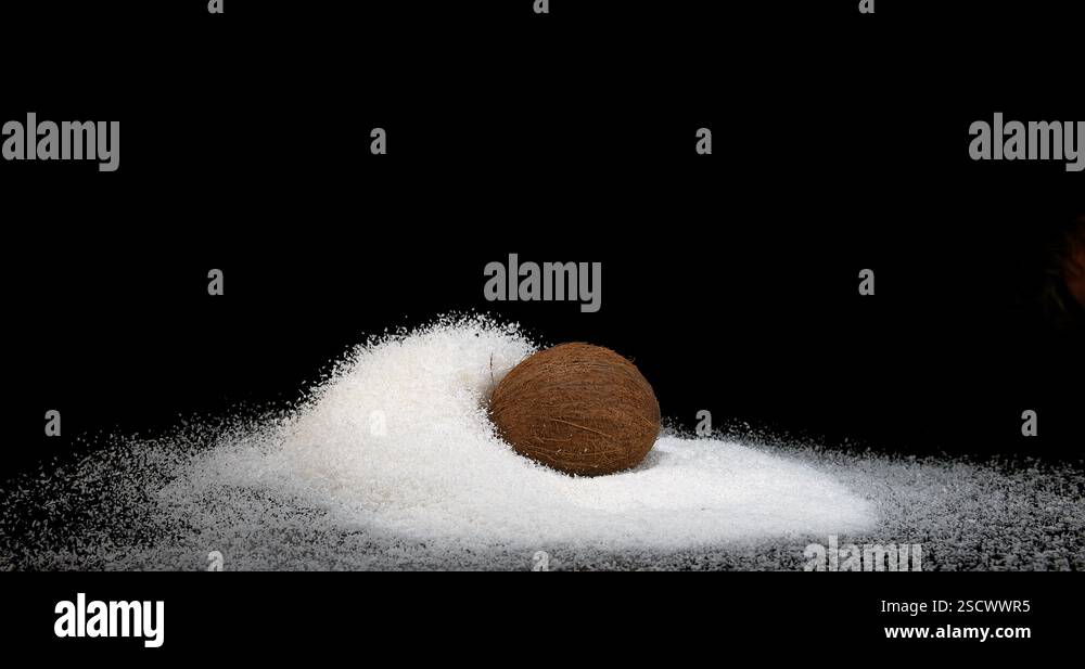 Coconut, cocos nucifera, Fruit and Powder Exploding against Black ...