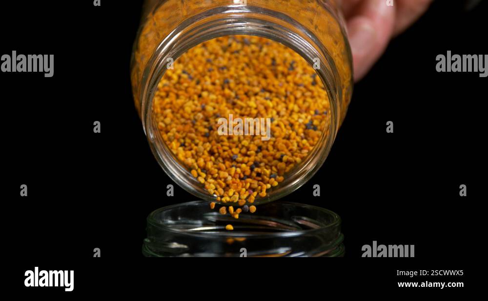 Pollen Dumplings Falling on Black Background, Crockery, Slow Motion 4K ...