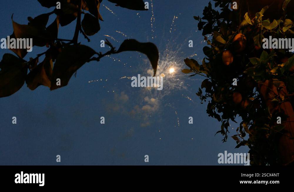 Fireworks at night with tree leaves in foreground Stock Video Footage ...