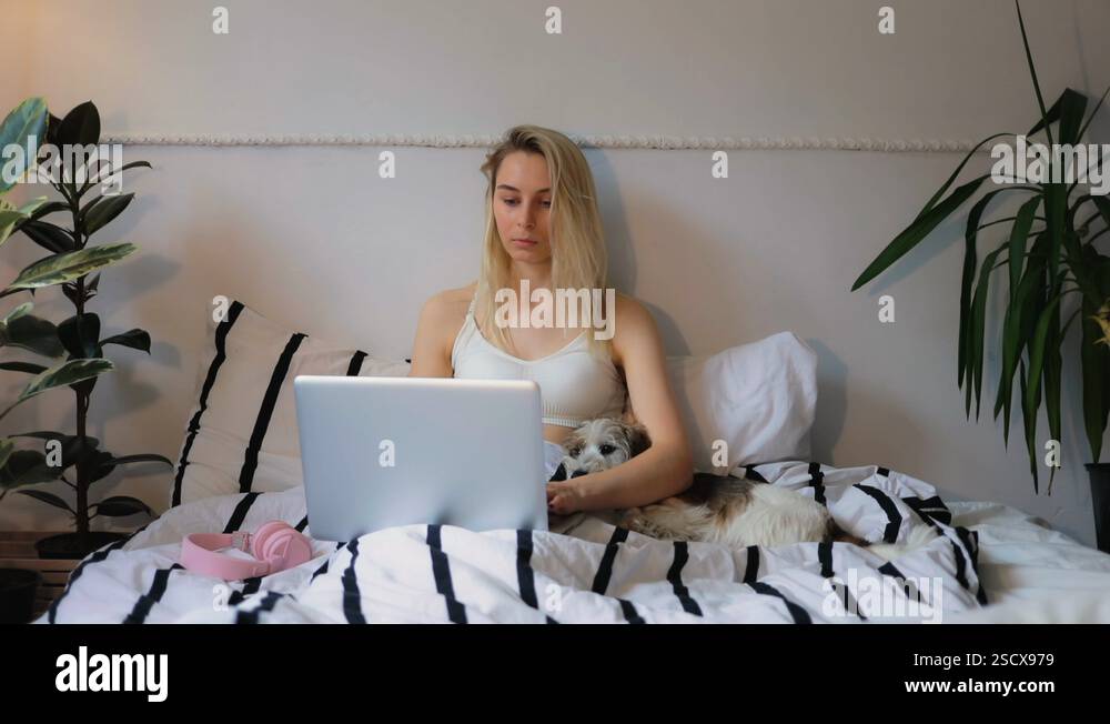 girl use laptop in bed with jack russell terrier early dawn morning social 5g Stock Video ...