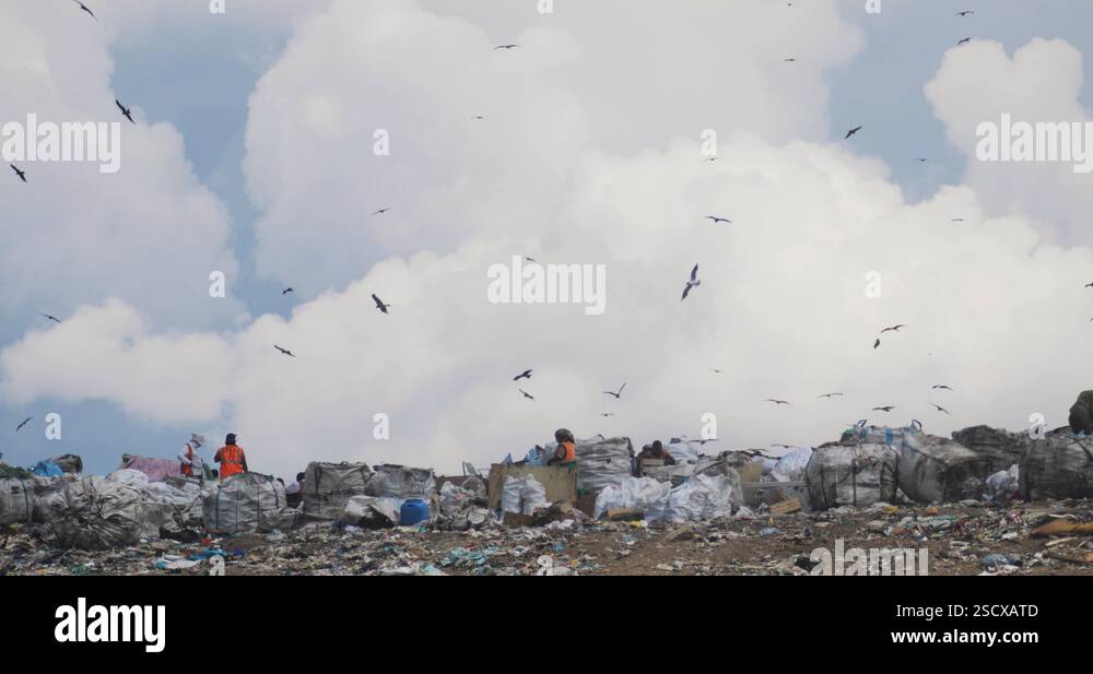 Workers in uniform clean up and sort garbage in big city dump recycling ...