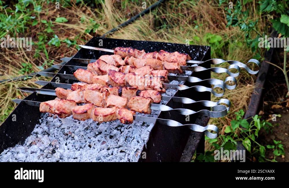 meat on skewers Stock Video Footage - Alamy