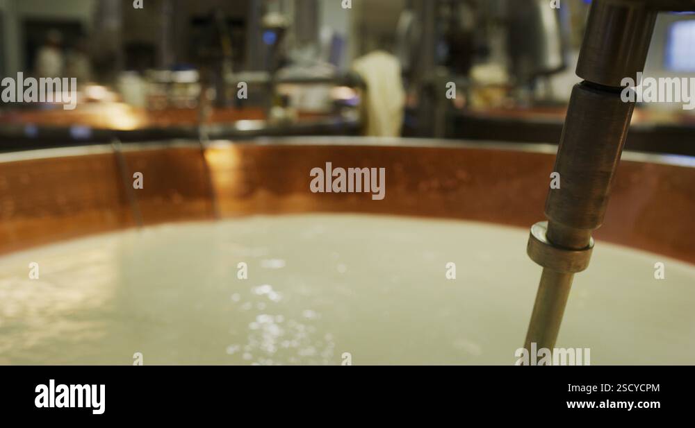 Close up of a cheesemaker is preparing a form of Parmesan cheese Stock ...