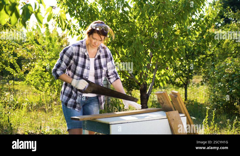pretty woman carpenter looks at camera and handsaws plank in sunny ...