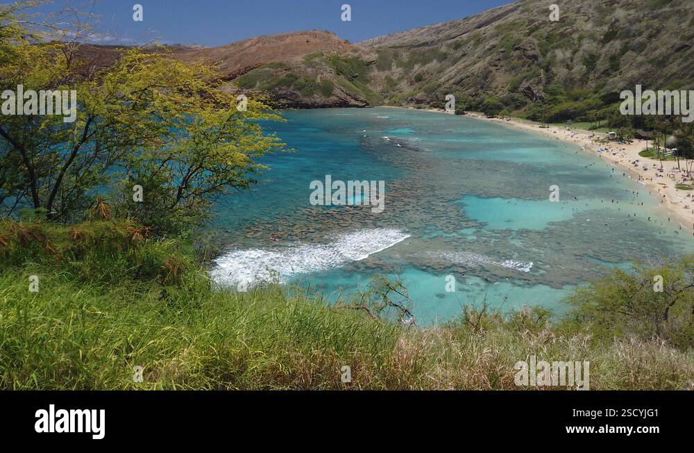 Hanauma Bay Nature Preserve,Honolulu,Oahu,Hawaii,USA Stock Video ...