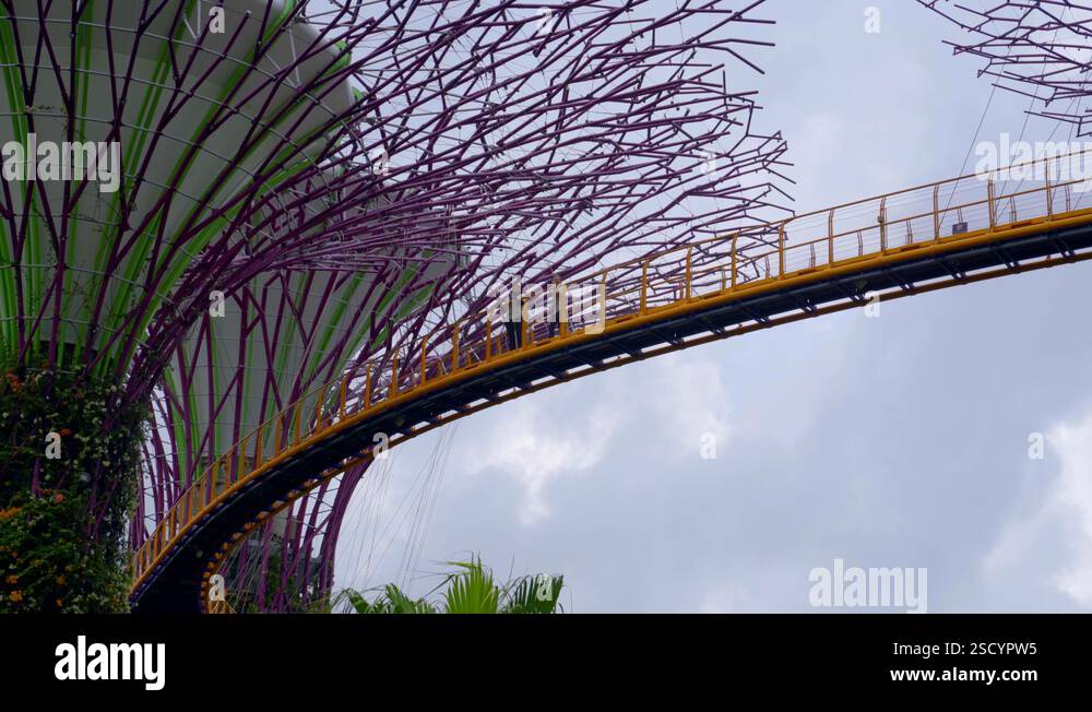 View of blue sky from under the super tree and bridge in Singapore ...
