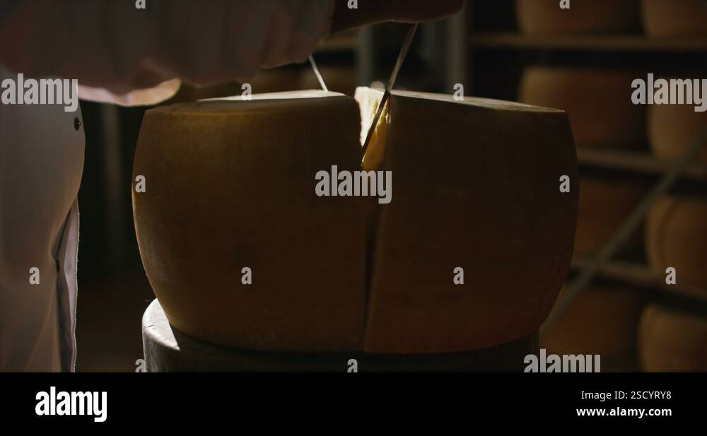 A cheese maker cuts the wheel of Italian Parmesan cheese for quality ...
