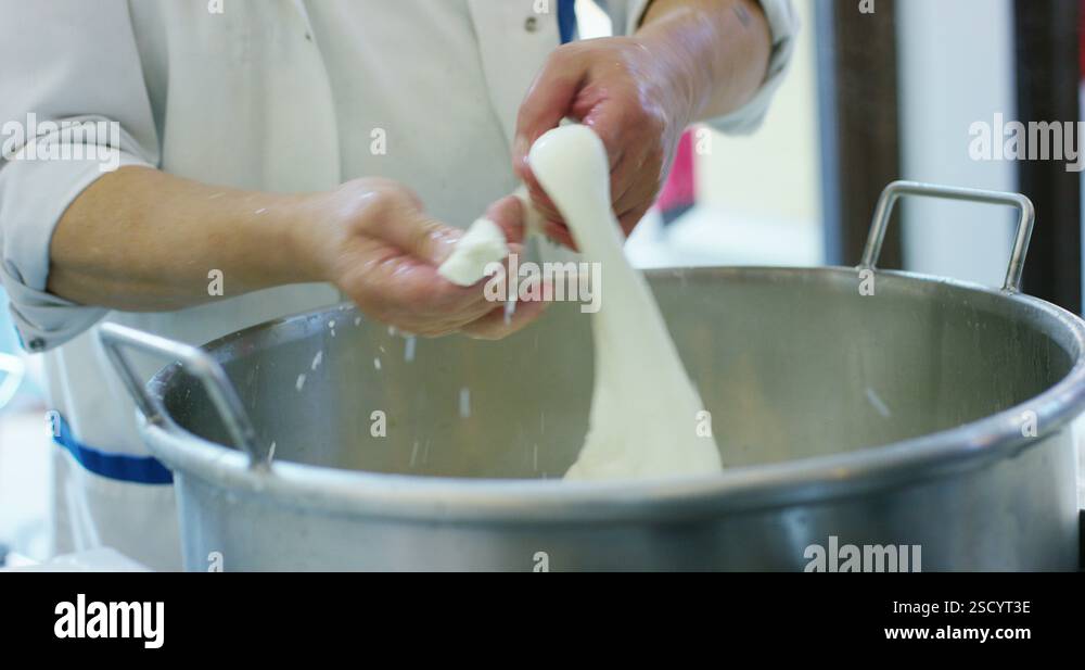 A cheese maker cuts the wheel of Italian Parmesan cheese for quality ...