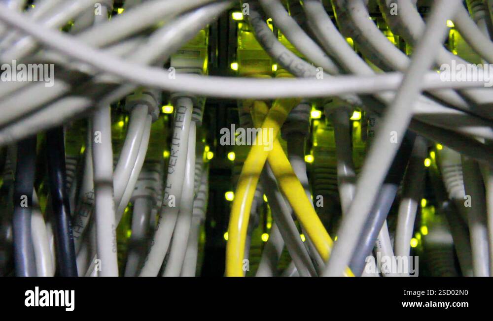 Details of connections on Ethernet server with UTP cables Stock Video ...