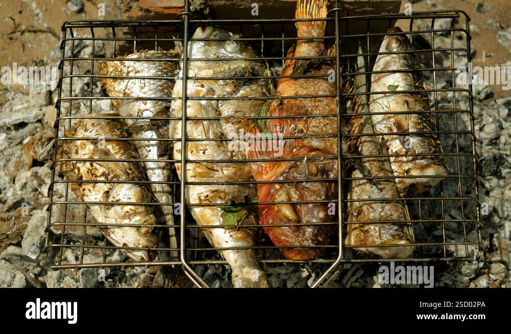 Mackerel, perch, sea bass, dorado, mullet, tuna. Fish grilled over ...