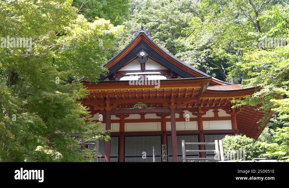 Tanzan Shrine, Nara in Japan Stock Video Footage - Alamy