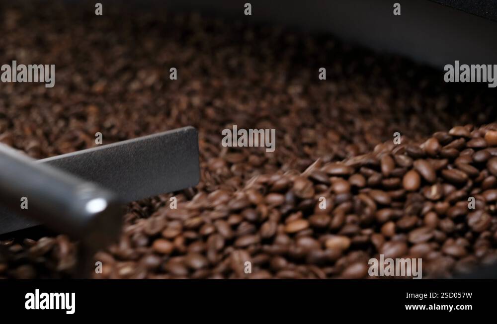 Roasted coffee beans on a cooling tray, being mixed by a rotating ...