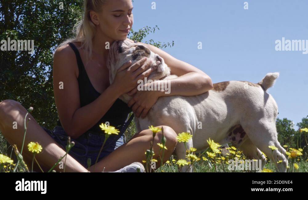Female sitting hugging bulldog canine friend with affection in ...