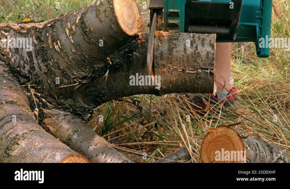 Sawing wood with chainsaw. Wooden work. Cutting wooden board. Sawdust ...