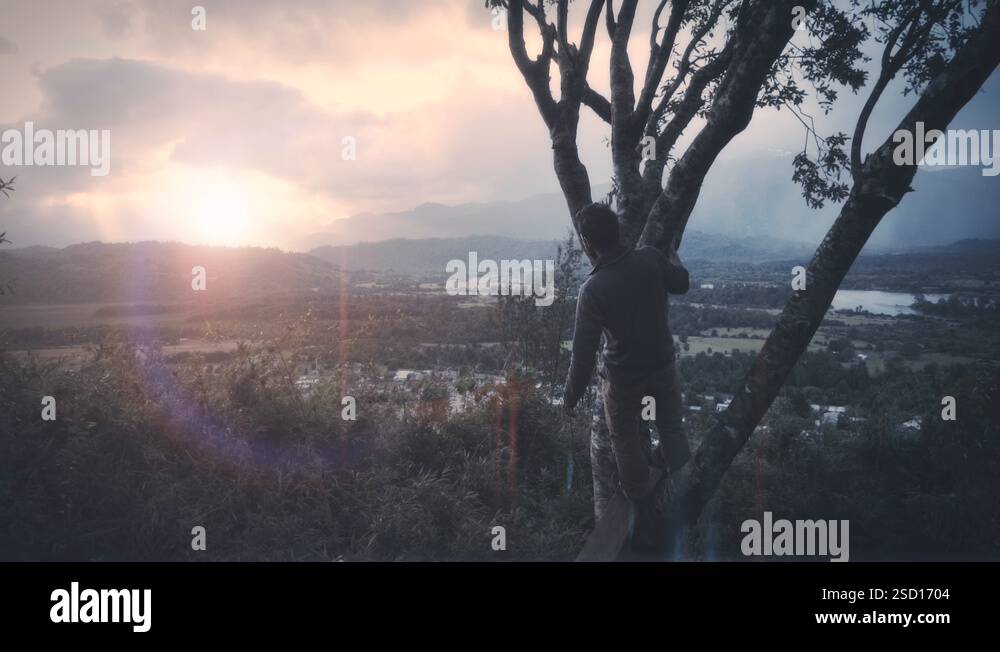 Tree top trekking Stock Videos & Footage - HD and 4K Video Clips - Alamy