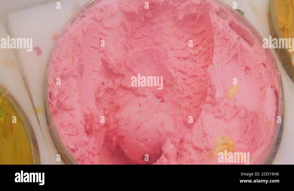 Ice cream shop worker scoops a cup of pink strawberry flavor from bin A ...