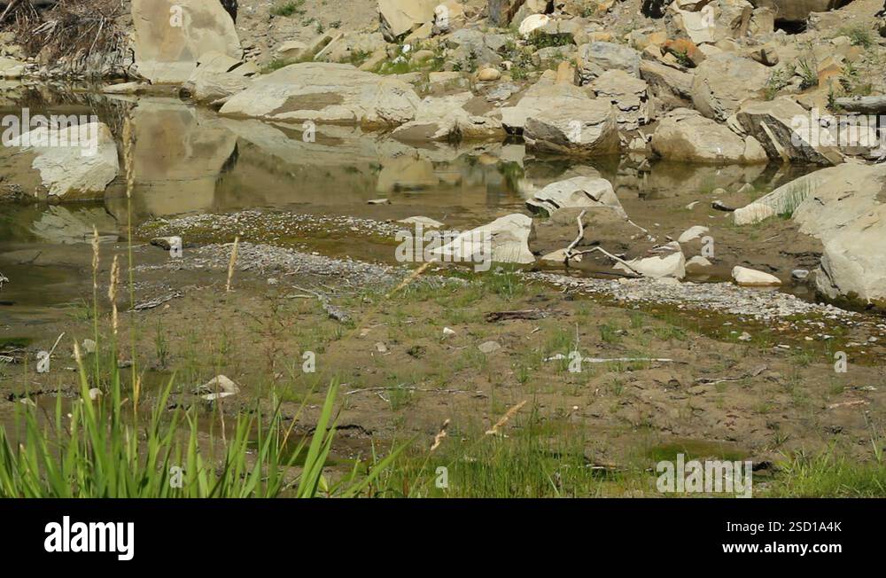 River drying up from drought Stock Video Footage - Alamy