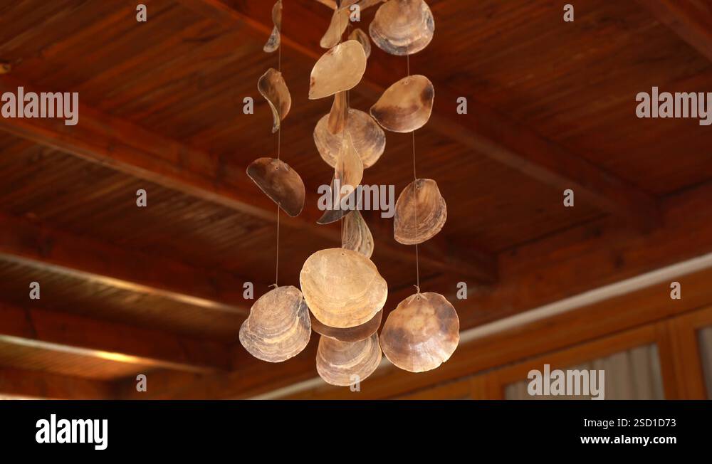 Cute decoration made with many sea shells hanging 4k Stock Video ...