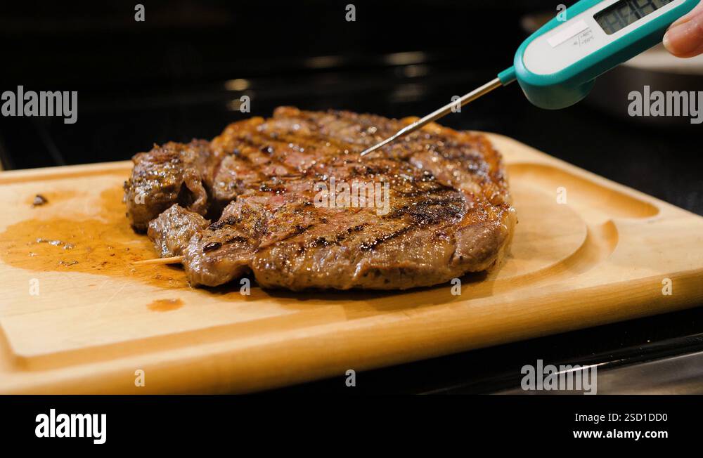 Checking for safe food temperature with digital instant thermometer ...