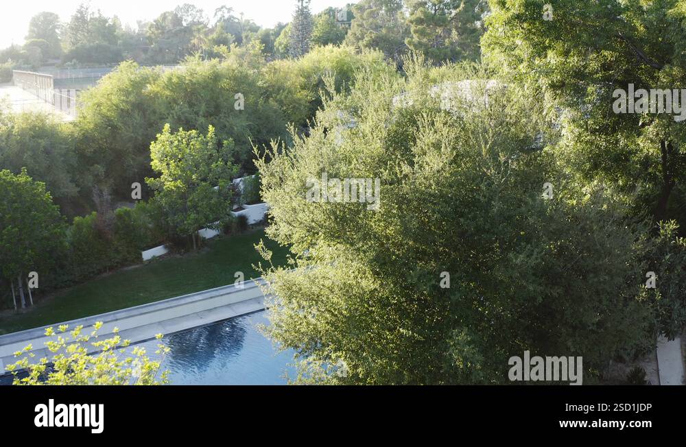 A White Luxury Mansion in Beverly Hills with an Infinity Pool Stock ...