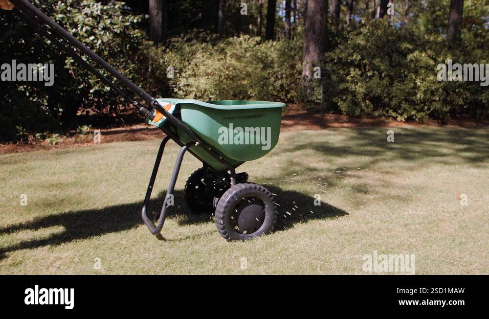 Man fertilizing & seeding residential backyard grass lawn with manual ...